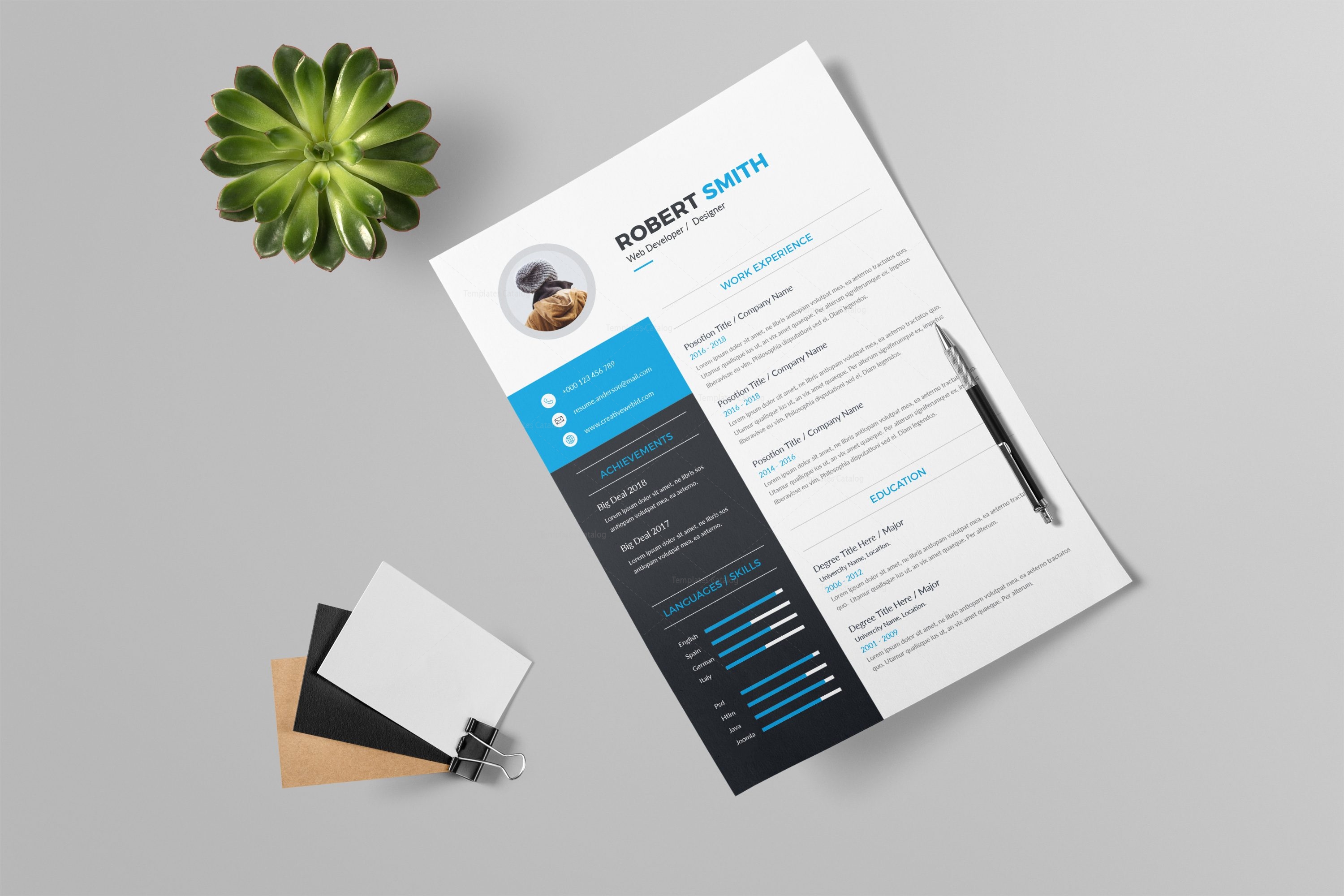 Dallas Professional Resume Design Template - Graphic Delta | Graphic ...